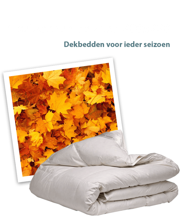 4 seizoenen dekbed 200x220 » Synthetisch, wol, dons of katoen!